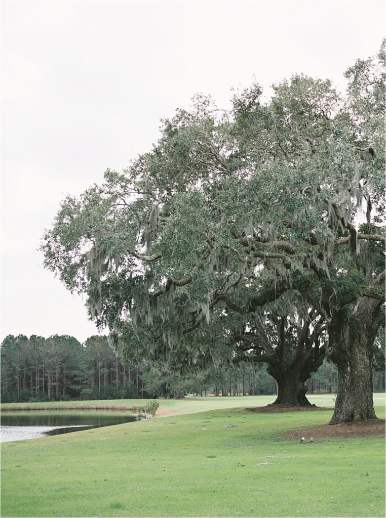 Wingate Place Charleston Wedding - Hillary Muelleck